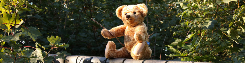 Edward Bear Collection – Merrythought