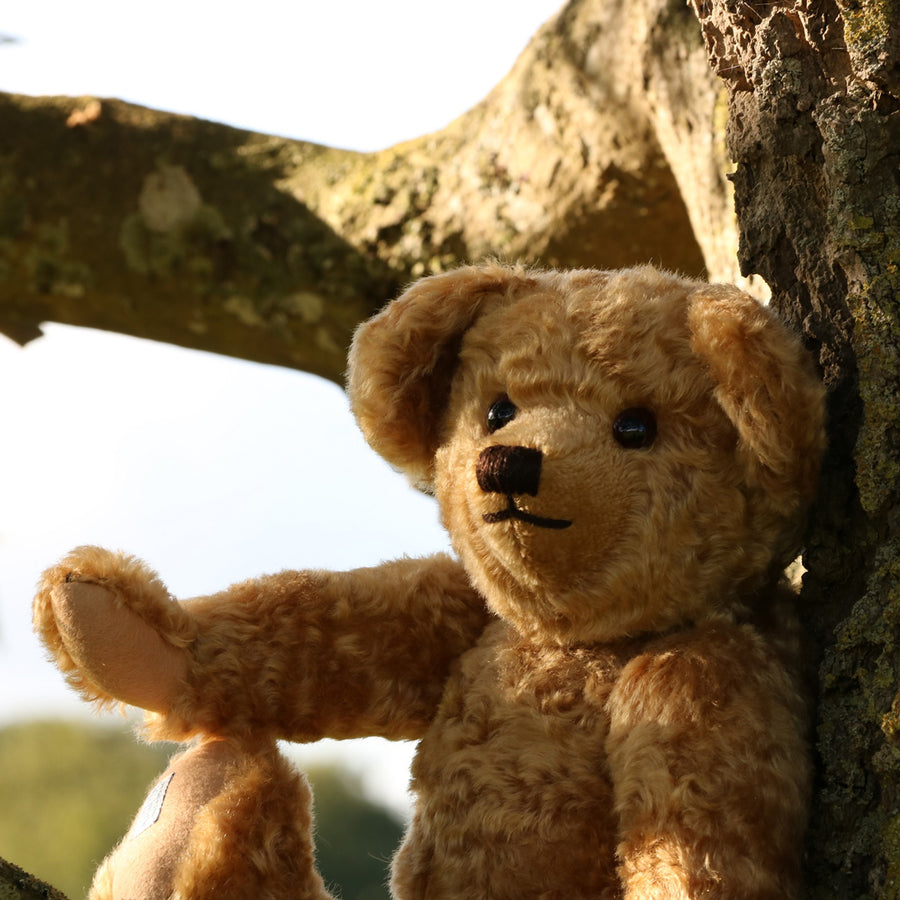 The Story of Edward Bear – Merrythought